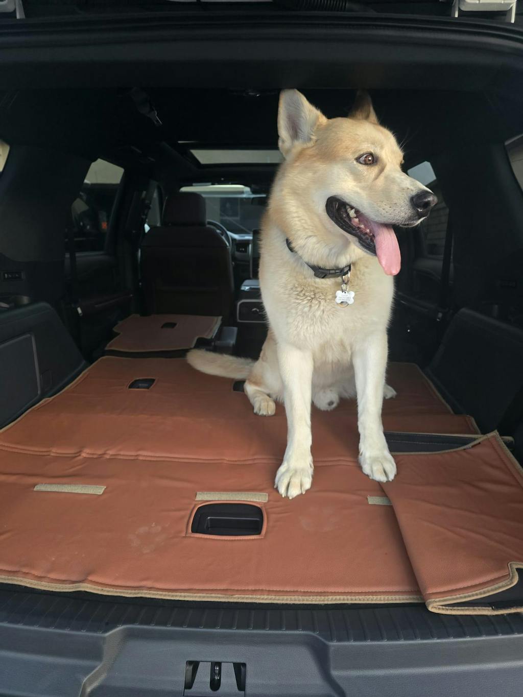 Toyota 4Runner Pet Cargo Liner Sides – Ruff Rugs