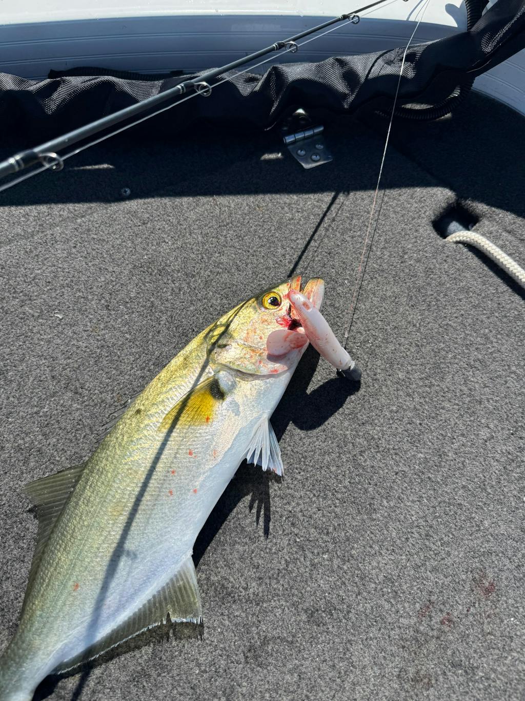 High Quality Rattle Minnows Baits – S Tackle