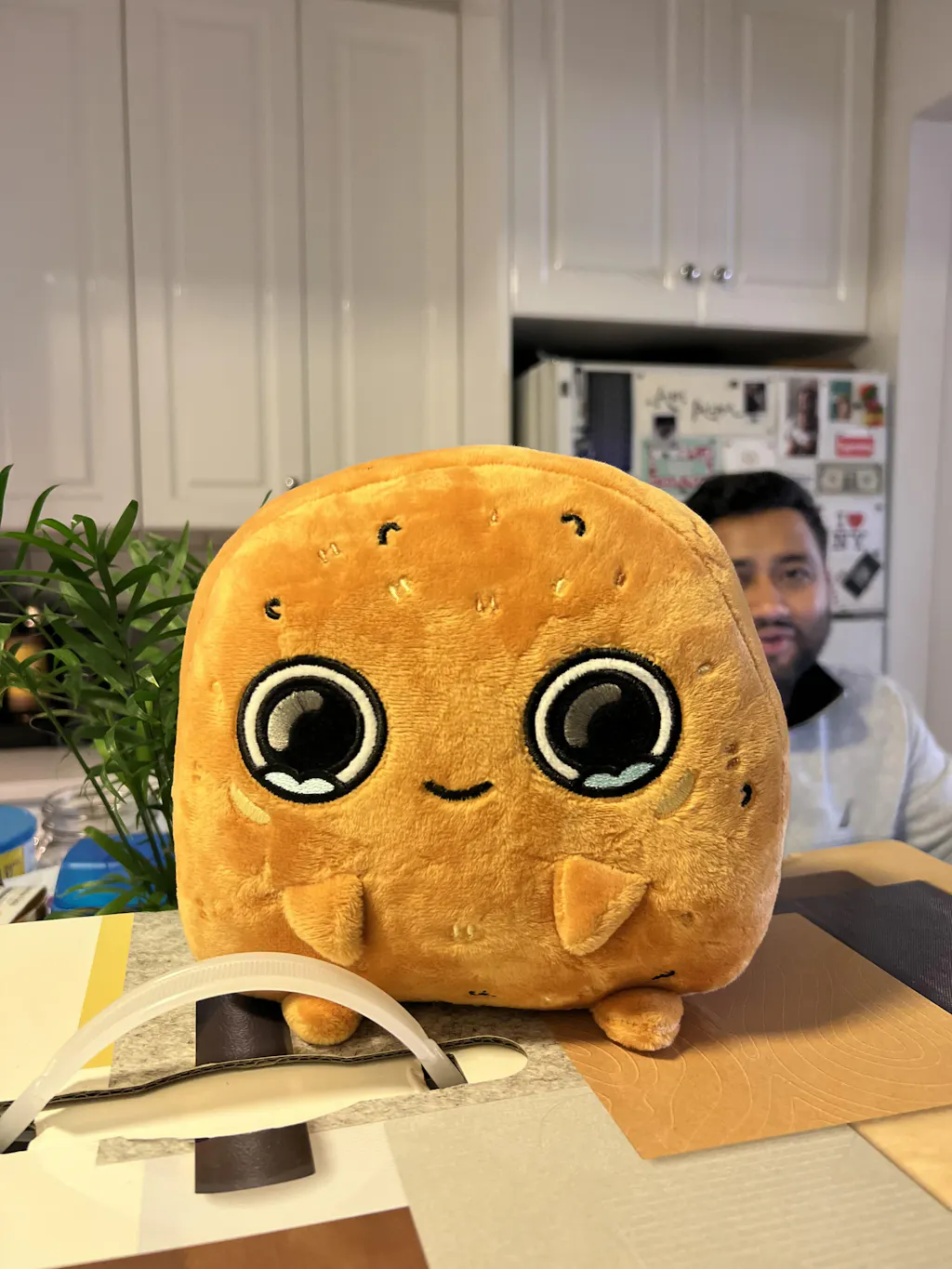 Sad Nuggie Plush
