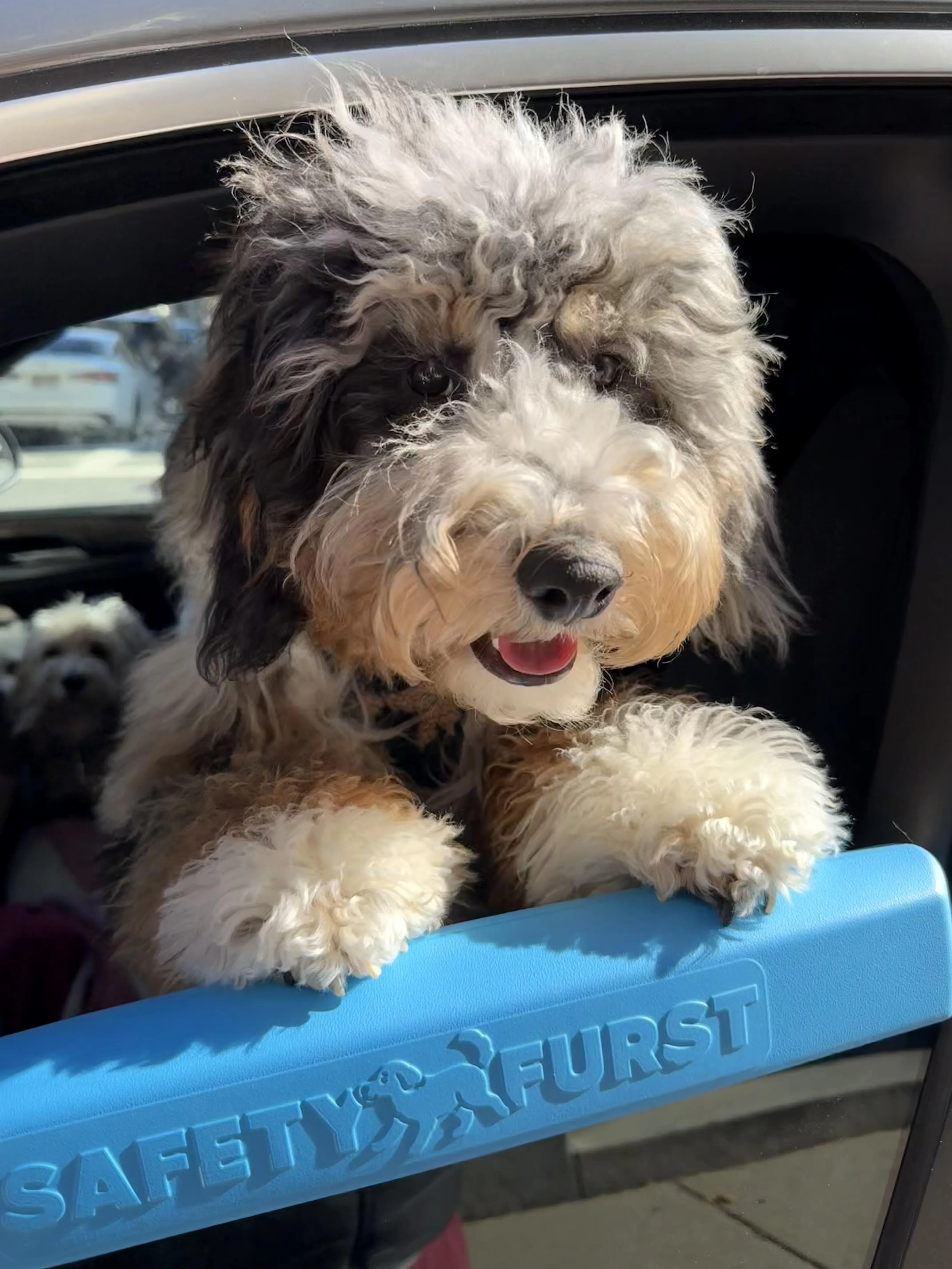 Whiffie Cushion™ - Viral Patent Pending Car Window Chin Rest For Dogs ...