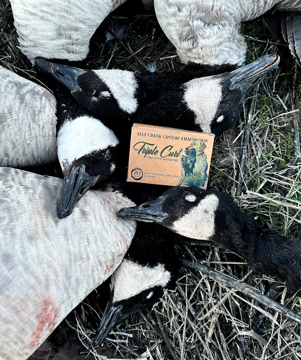 Triple Curl: TSS Waterfowl 20 Gauge – Salt Creek Custom Ammunition