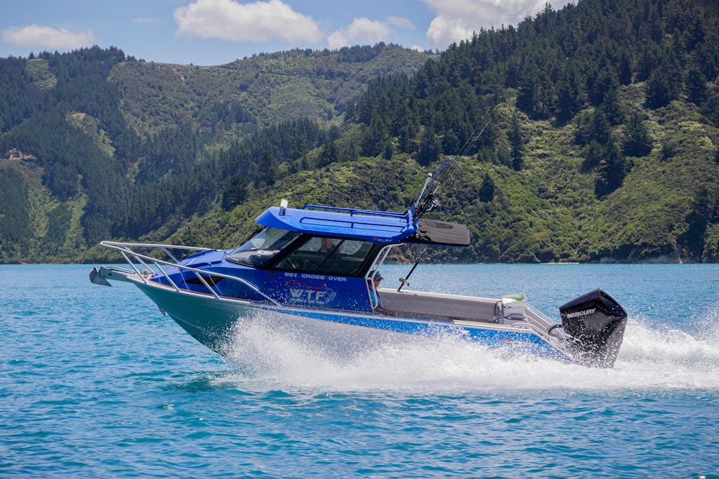 Salt-Shark | The Worlds Best Value Salt Remover Wash