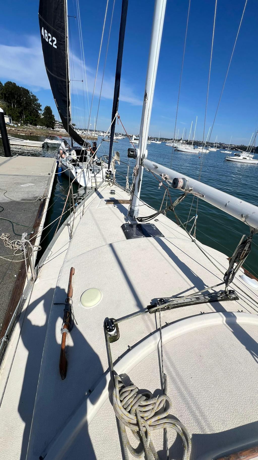 Salt-Shark | The Worlds Best Value Salt Remover Wash