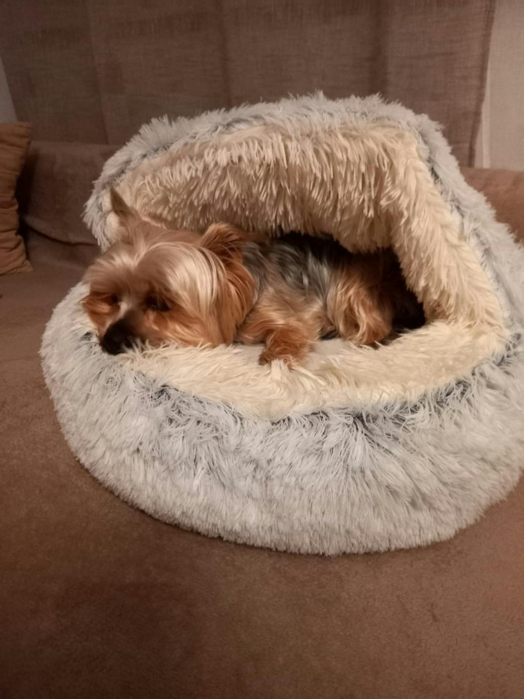 #1 Fluffy Calming Pet Cave – San Frenchie