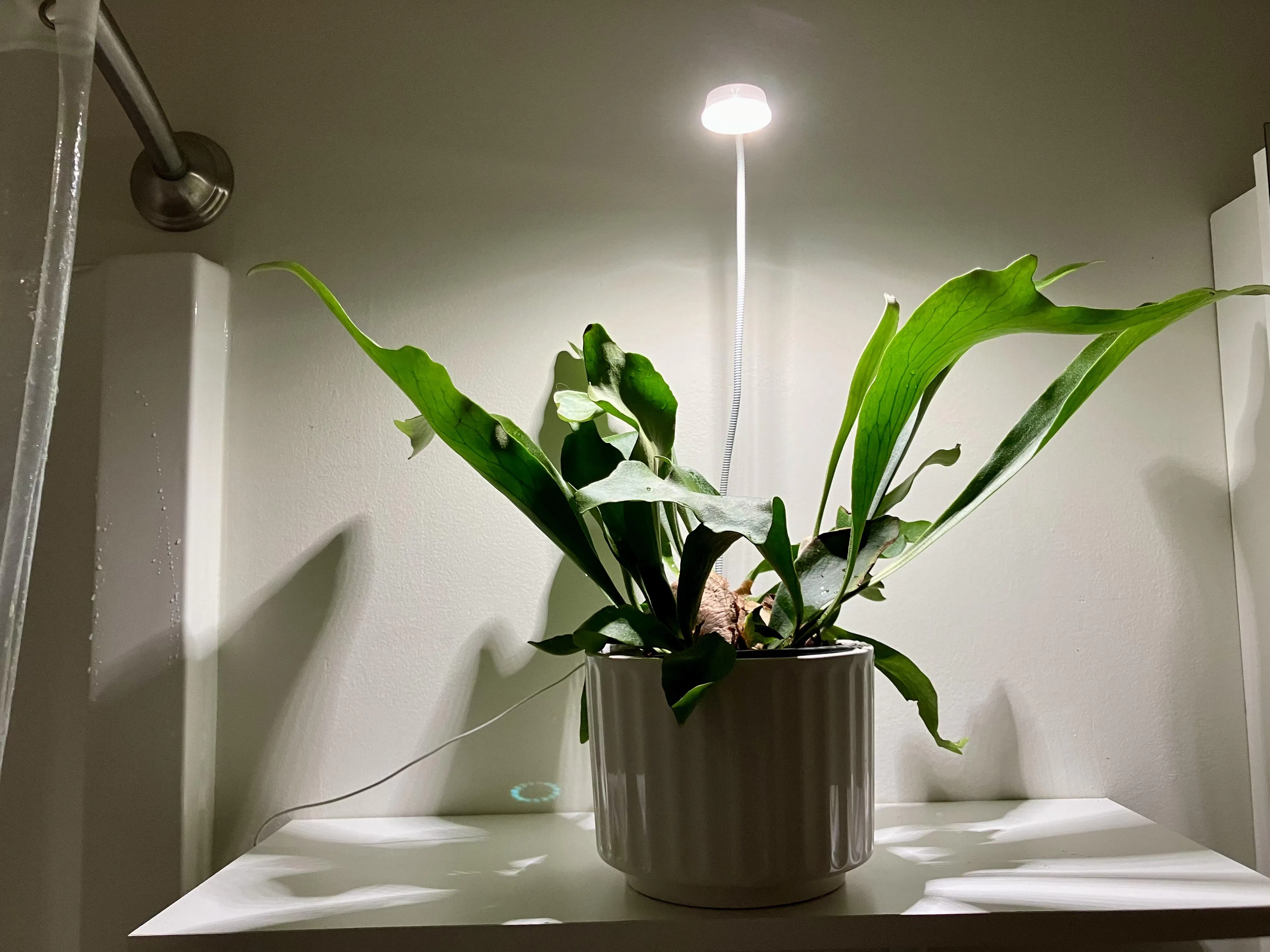 Pot Clip LED Grow Light(US/CA ONLY)