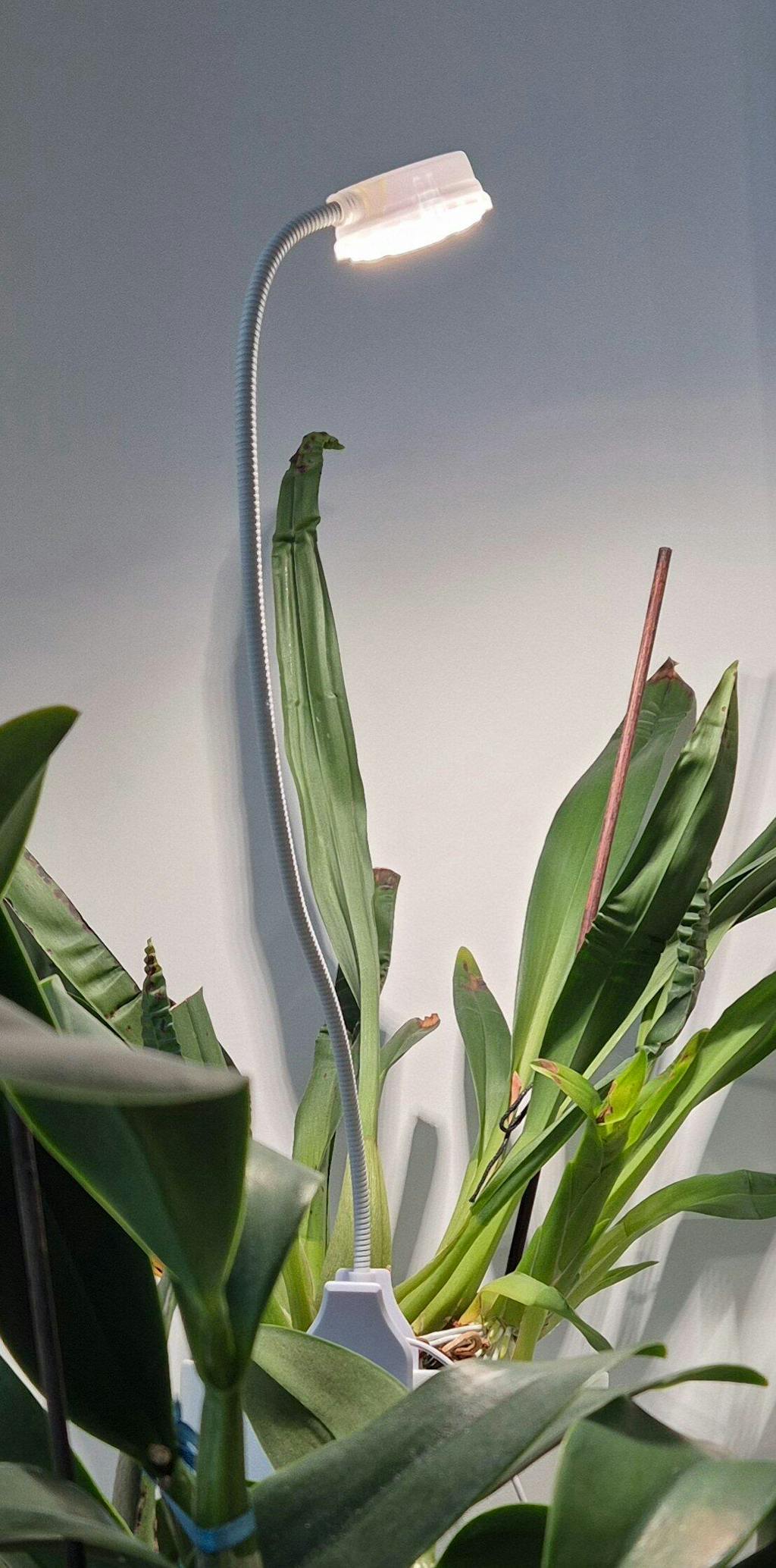 Sansi Pot Clip LED Grow Light for Indoor Growing, Home Growing