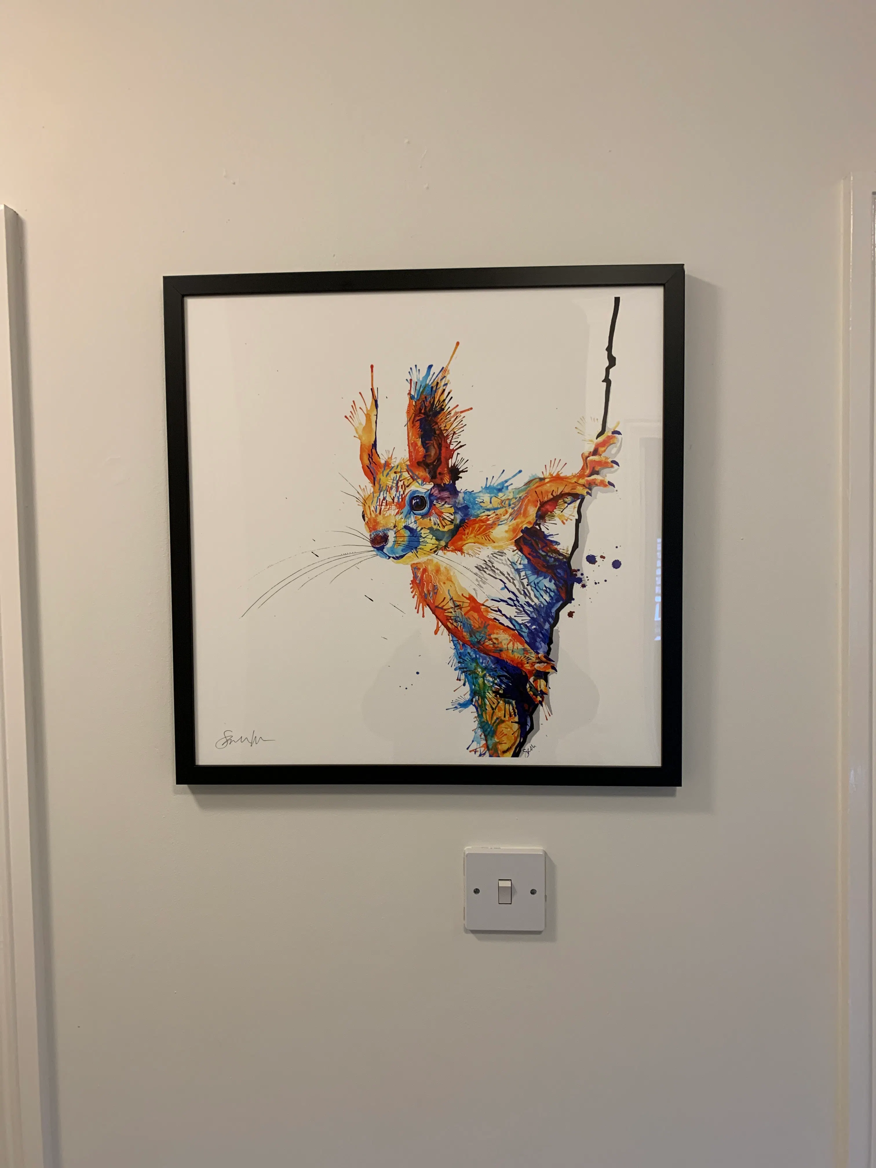 Percy The Squirrel Framed Print – Sarah Taylor Art