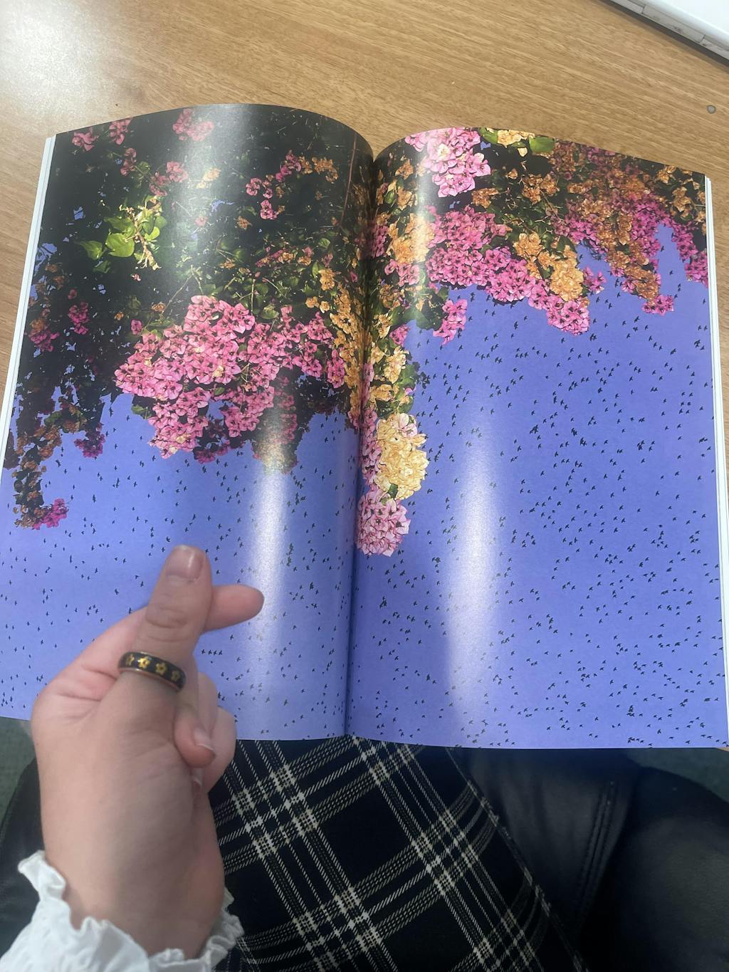 Fine Art Photo Prints Straight from the Camera, no photoshop – Sasha Elage