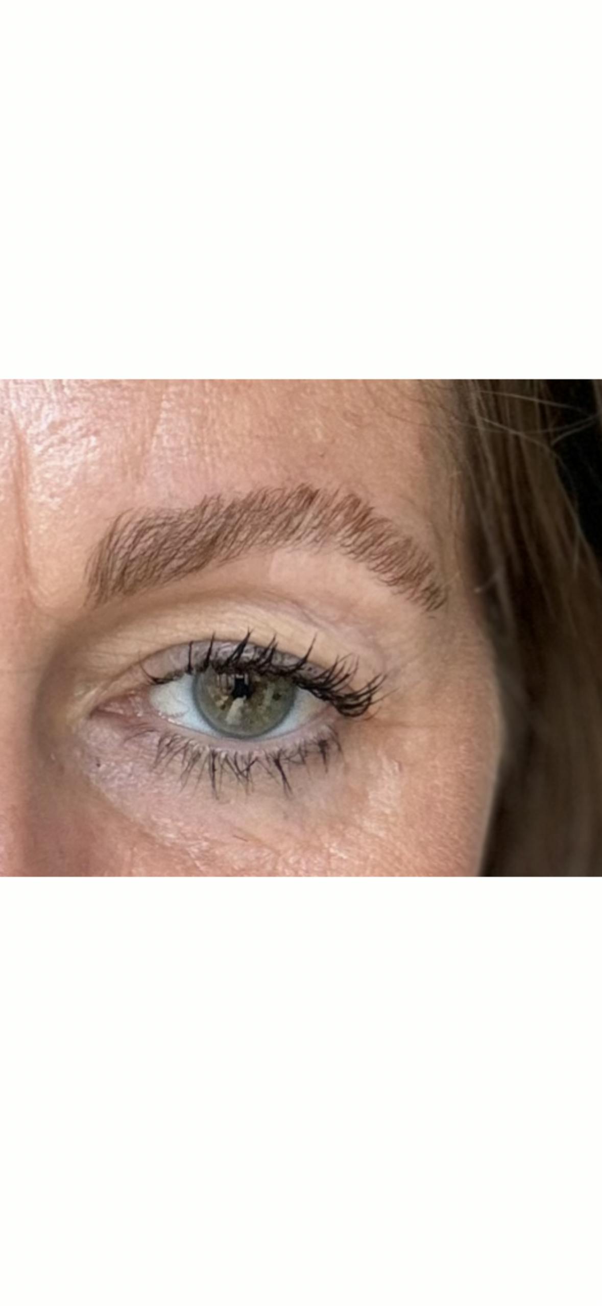 At-Home Brow Lamination Kit - Sassy Saints - Brings The Salon Home ...