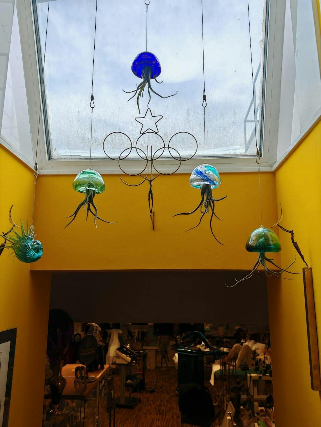 JELILY - Porta pianta aerea