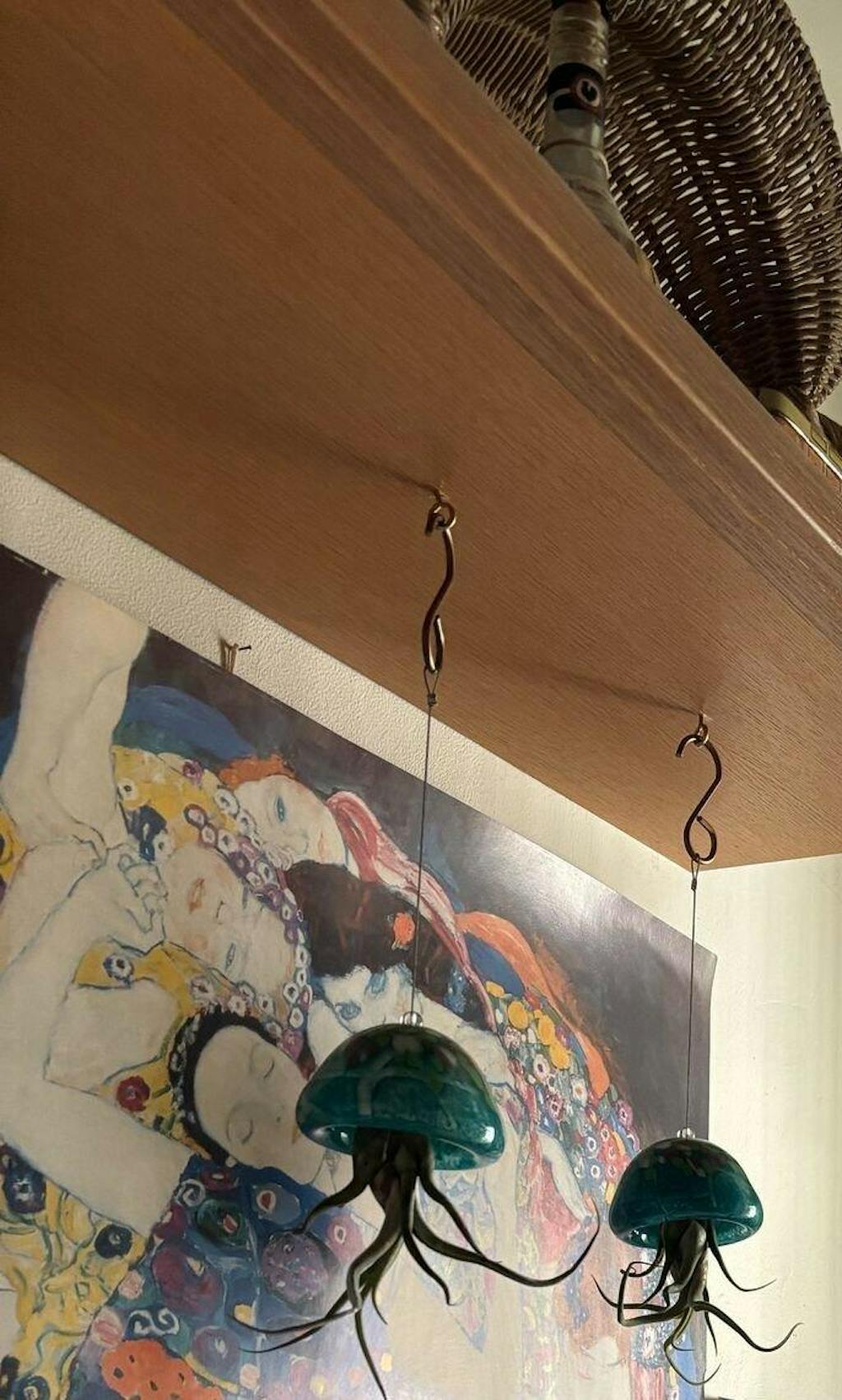 JELILY - Porta pianta aerea