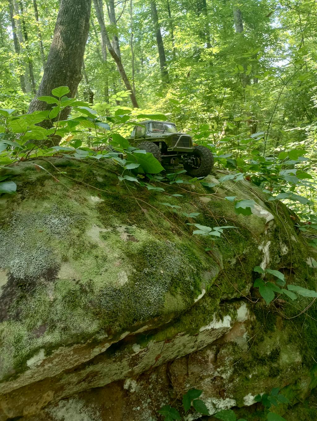 Element RC Ecto Comp-Style Winch Front Bumper with Trail Bar – ScalerFab