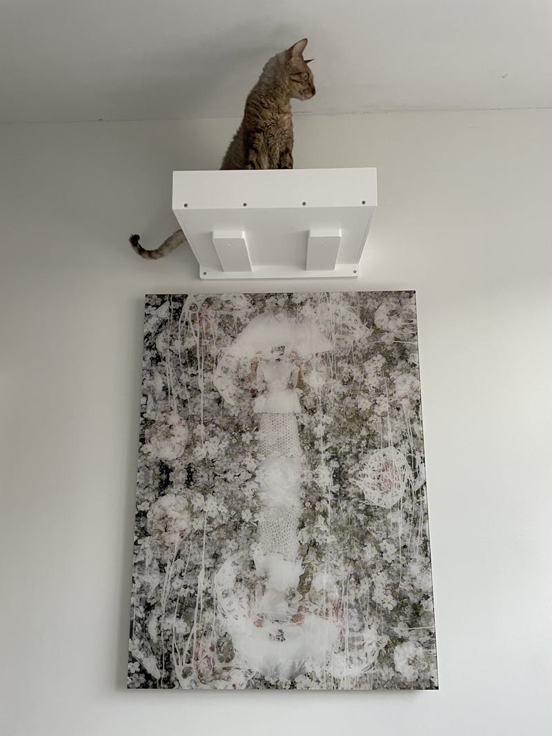 Modern Pet Furniture for Cats & Rabbits - Scratchy Things