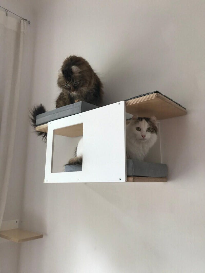 Modern Pet Furniture for Cats & Rabbits - Scratchy Things