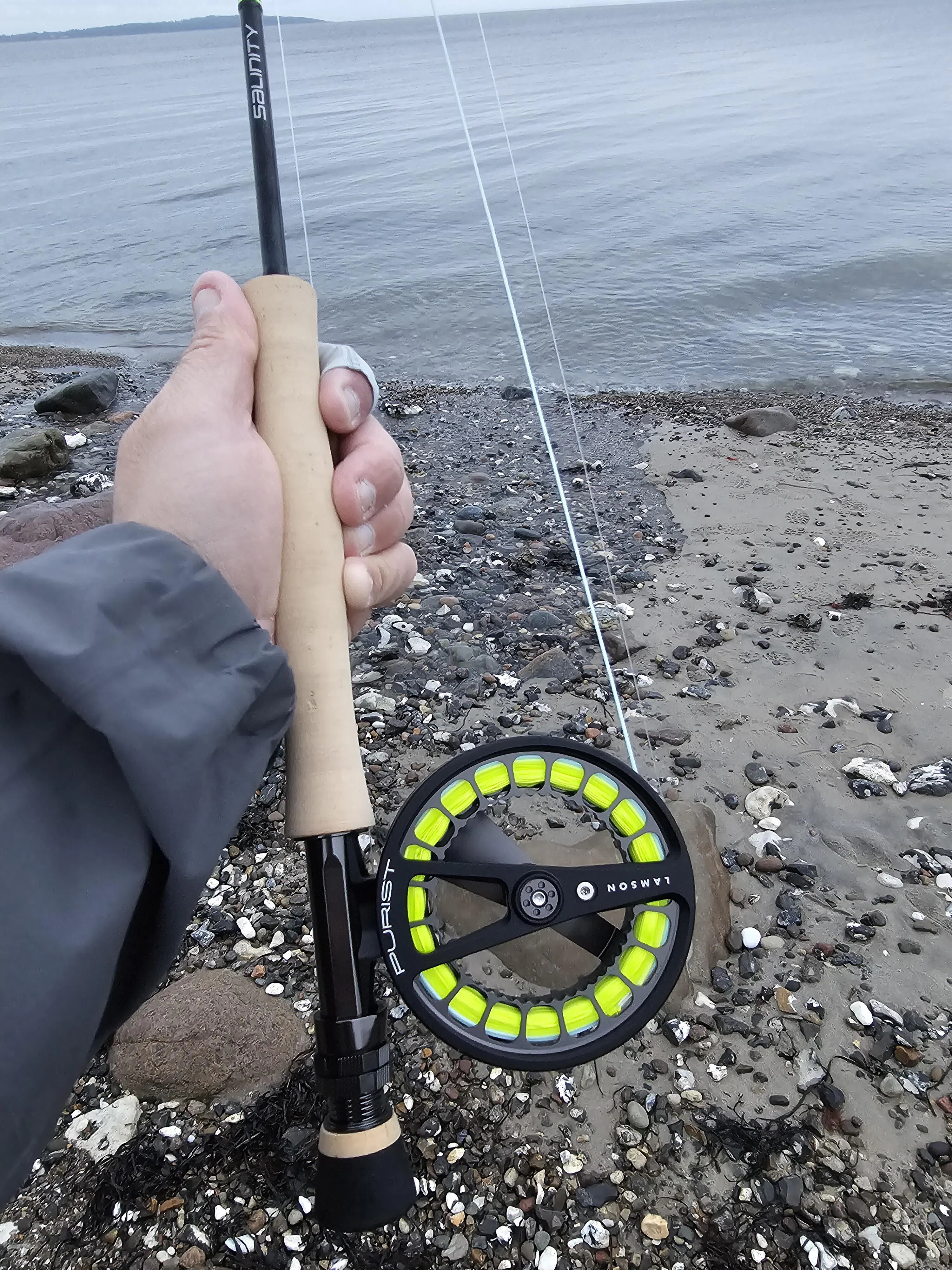 ADVANCE SH | F/S1.5 – Searun Fly Fish