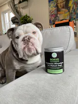 Chlorella For Dogs - Borvo Nutrients Microalgae Blend for Mature Dogs
