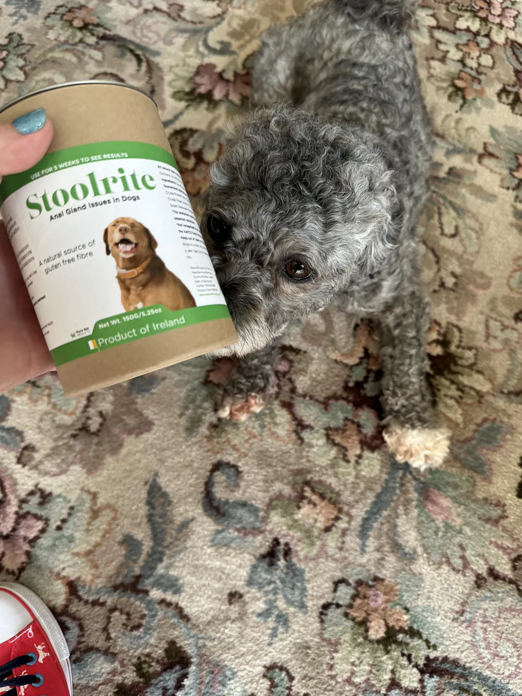 Stoolrite | Natural Stool Former for Dogs | Packed with Natural Fibre
