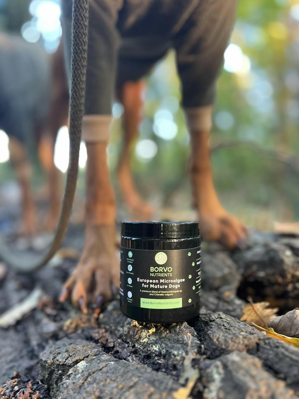 Chlorella For Dogs - Borvo Nutrients Microalgae Blend for Mature Dogs ...