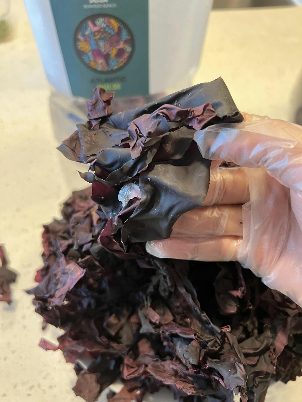Atlantic Dulse Whole Leaf Wildcrafted Bulk Dulse from Maine - Seaweed Kings