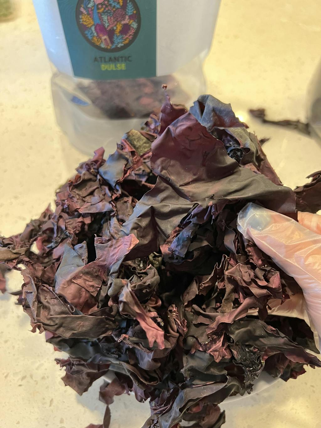 Atlantic Dulse Whole Leaf Wildcrafted Bulk Dulse from Maine - Seaweed Kings