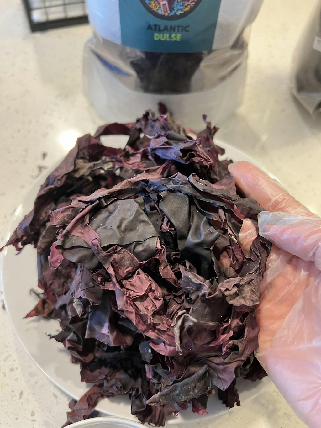 Atlantic Dulse Whole Leaf Wildcrafted Bulk Dulse from Maine - Seaweed Kings