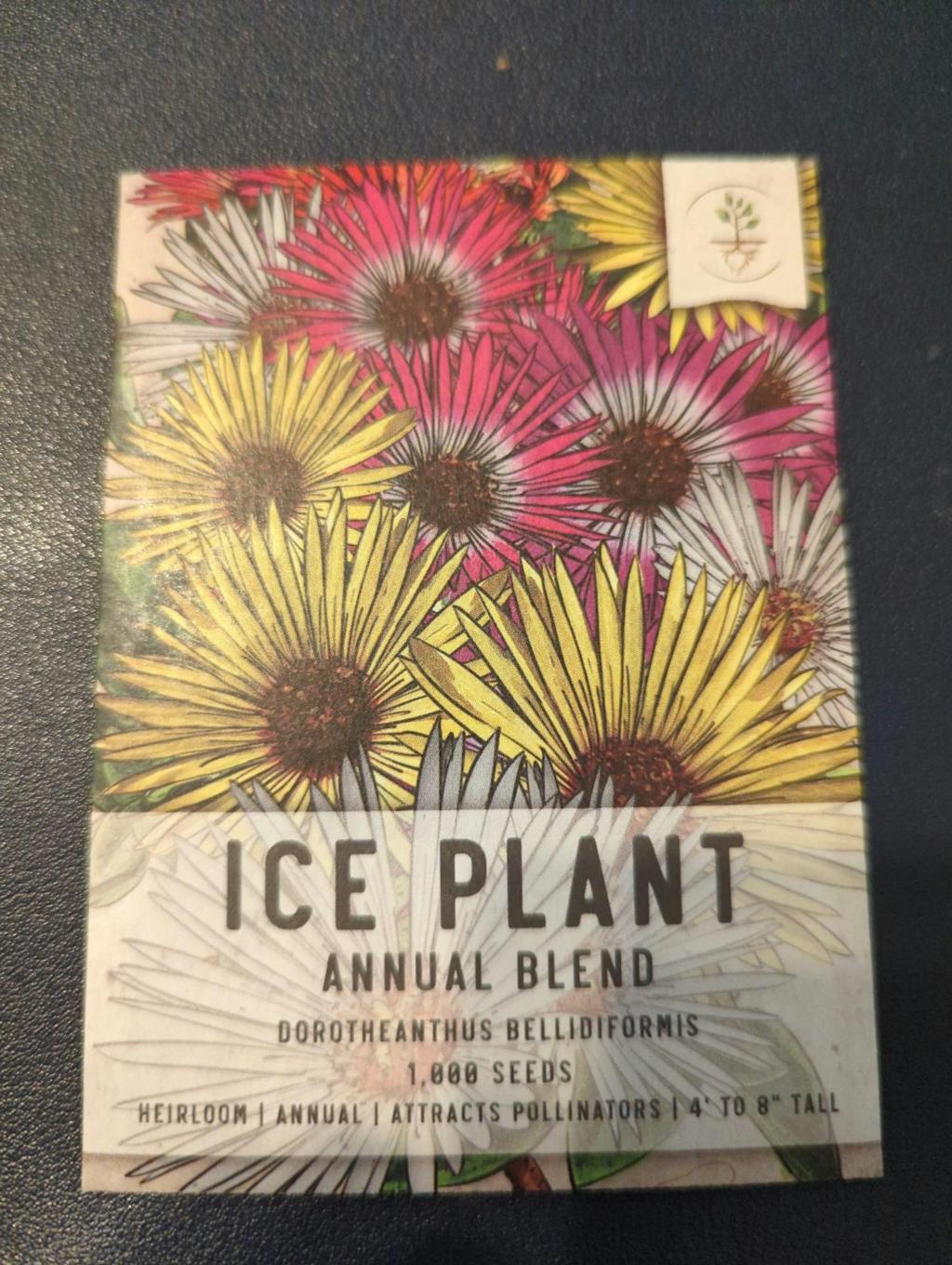 Annual Ice Plant Seeds For Planting (Dorotheanthus bellidiformis ...