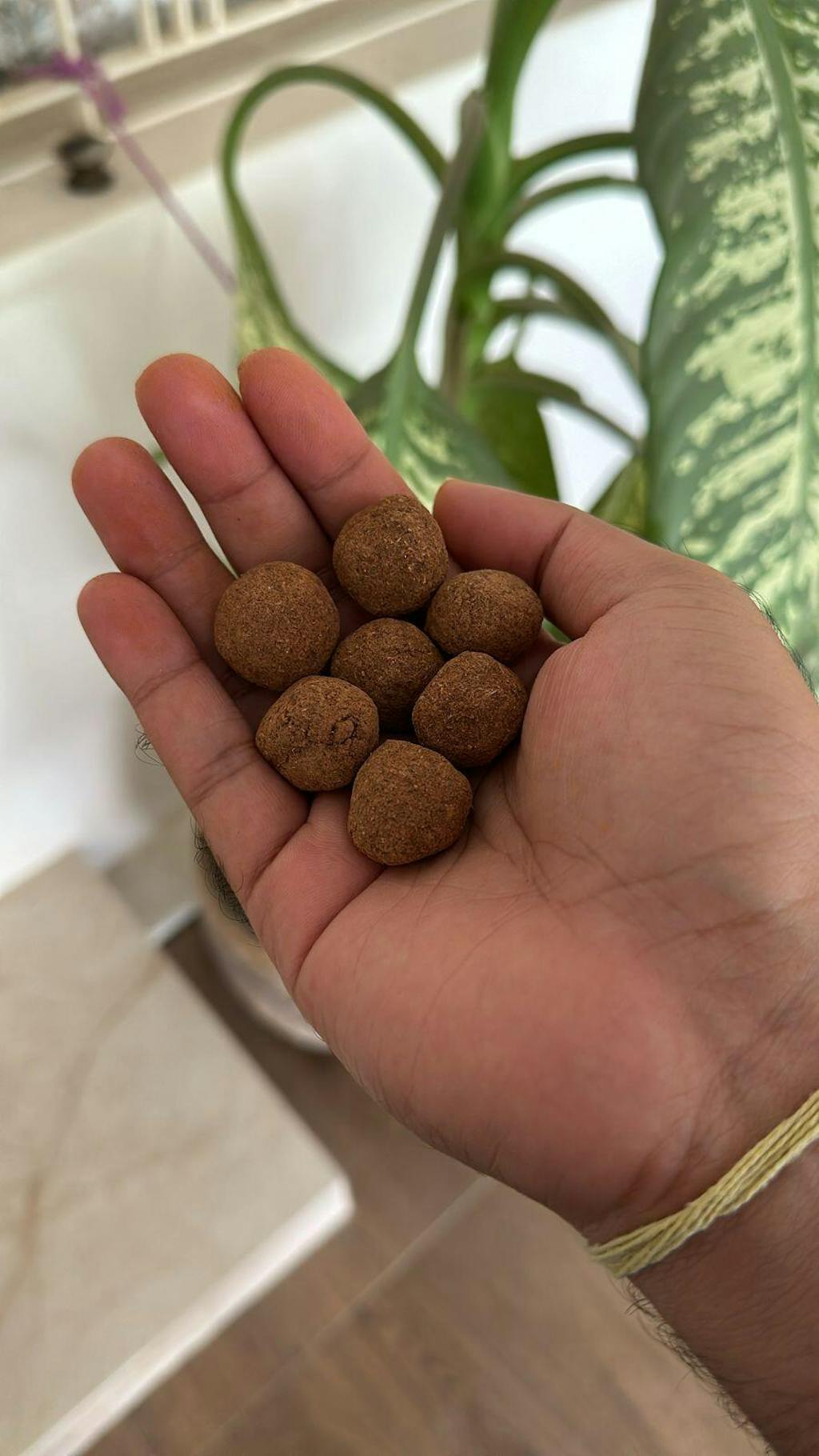 Mixed Tree Seed Balls - bulk Packing – seedballs