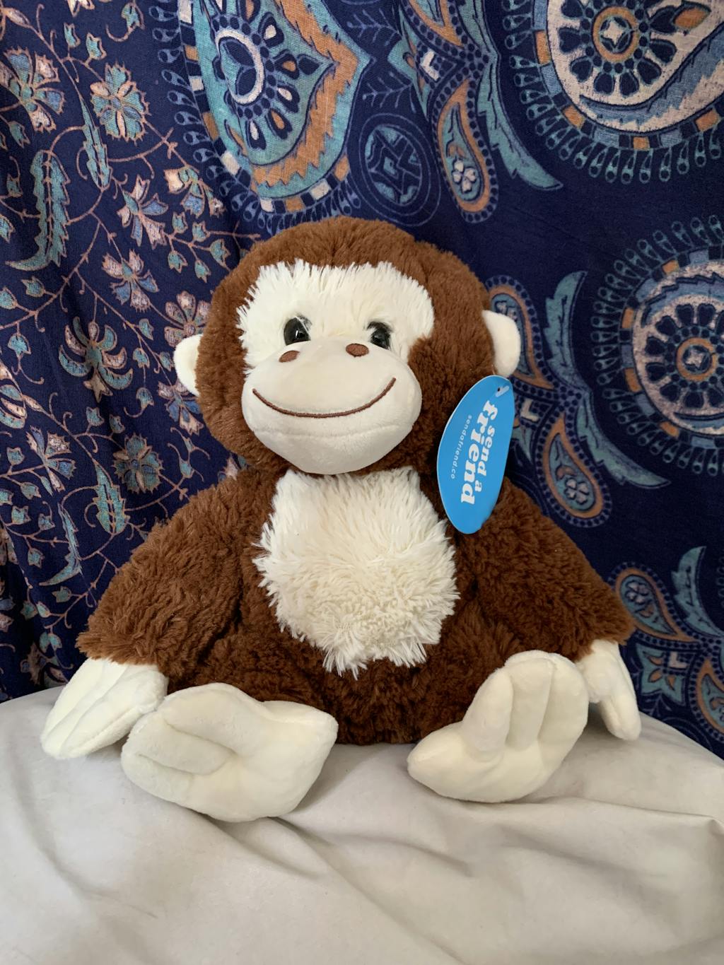 Maria the Monkey | SendAFriend's Stuffed Animal Care Packages