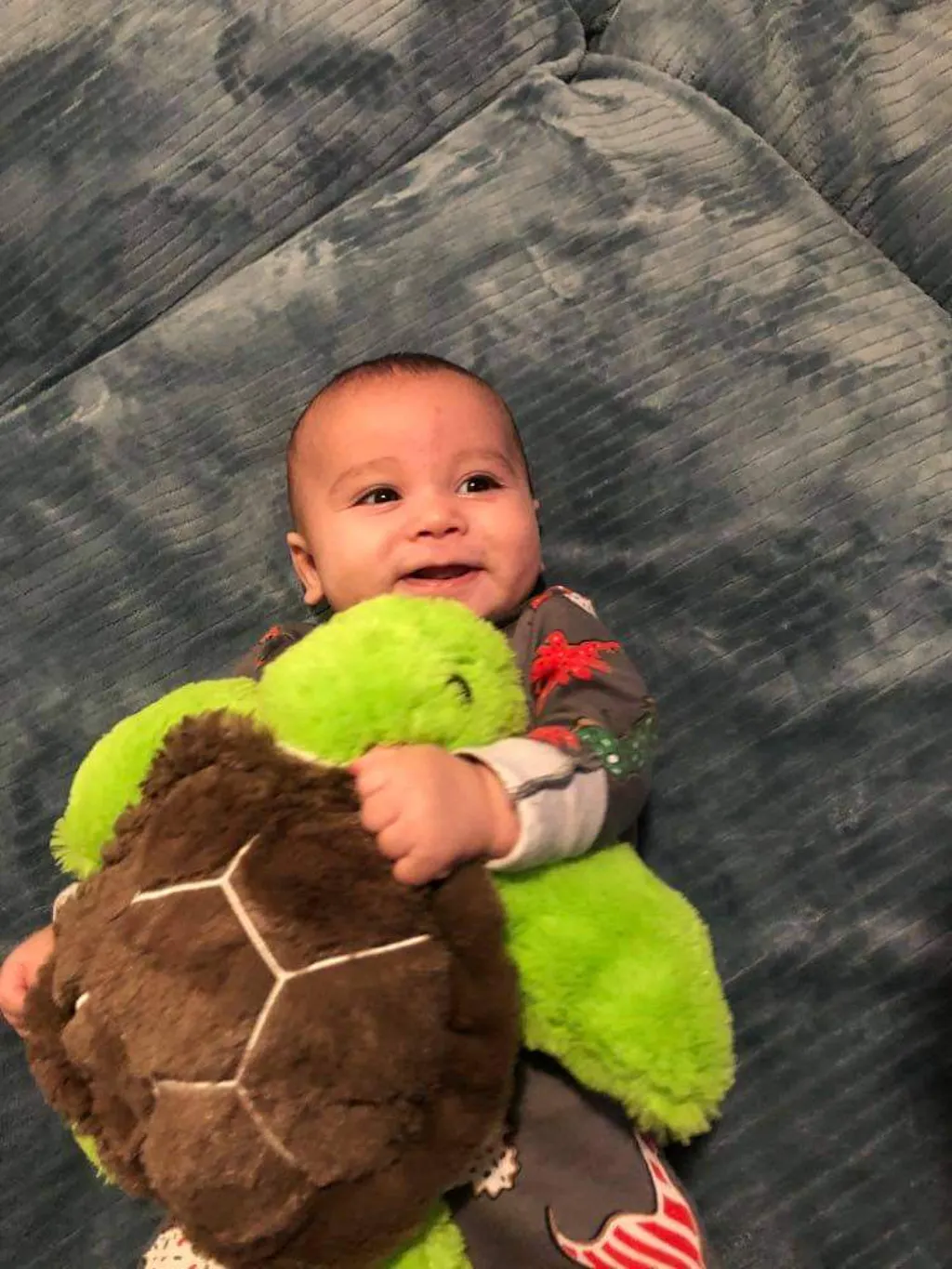 Tucker the Turtle — SendAFriend's Stuffed Animal Care Packages