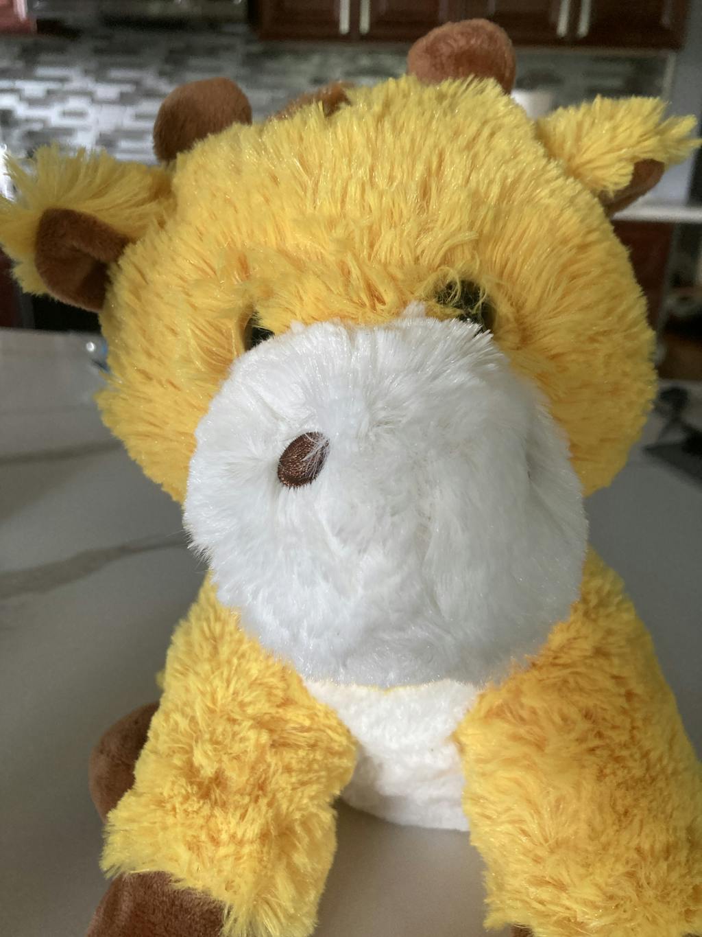 George the Giraffe Stuffed Animal Care Package - SendAFriend