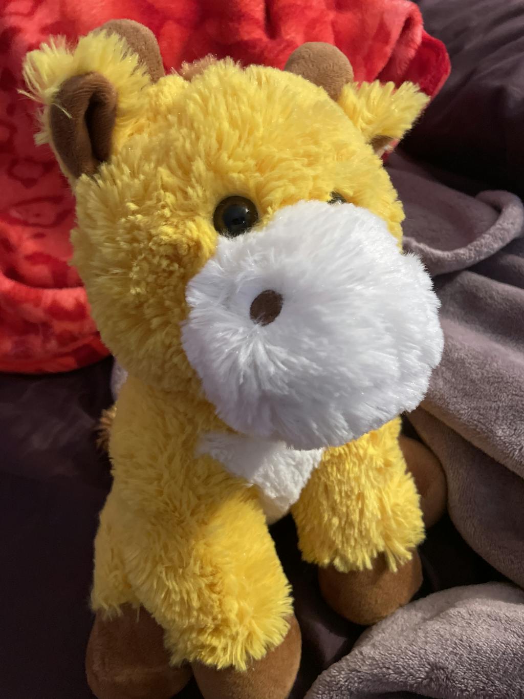 George the Giraffe Stuffed Animal Care Package - SendAFriend