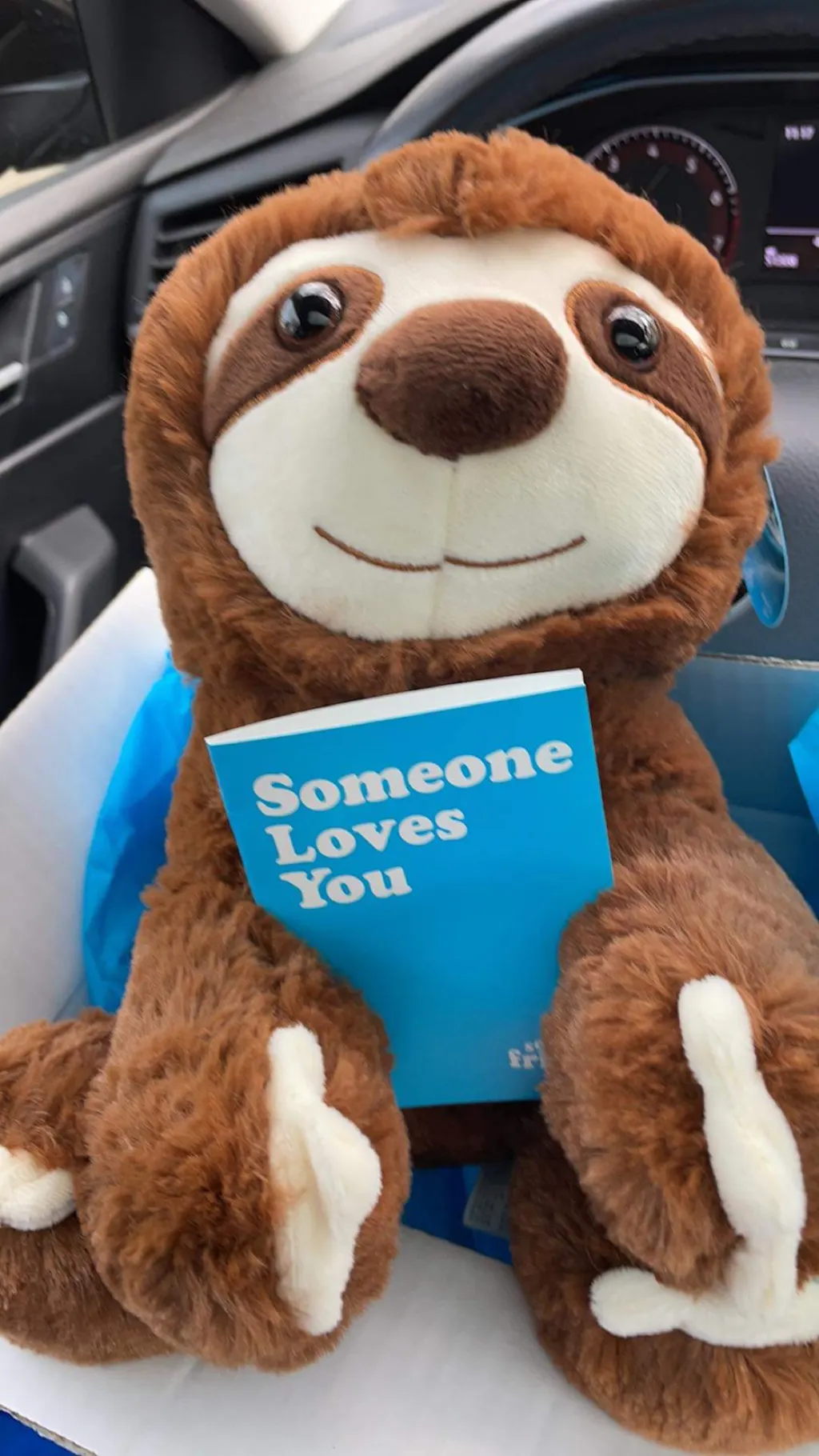 Sam the Sloth Stuffed Animal Care Package | SendAFriend