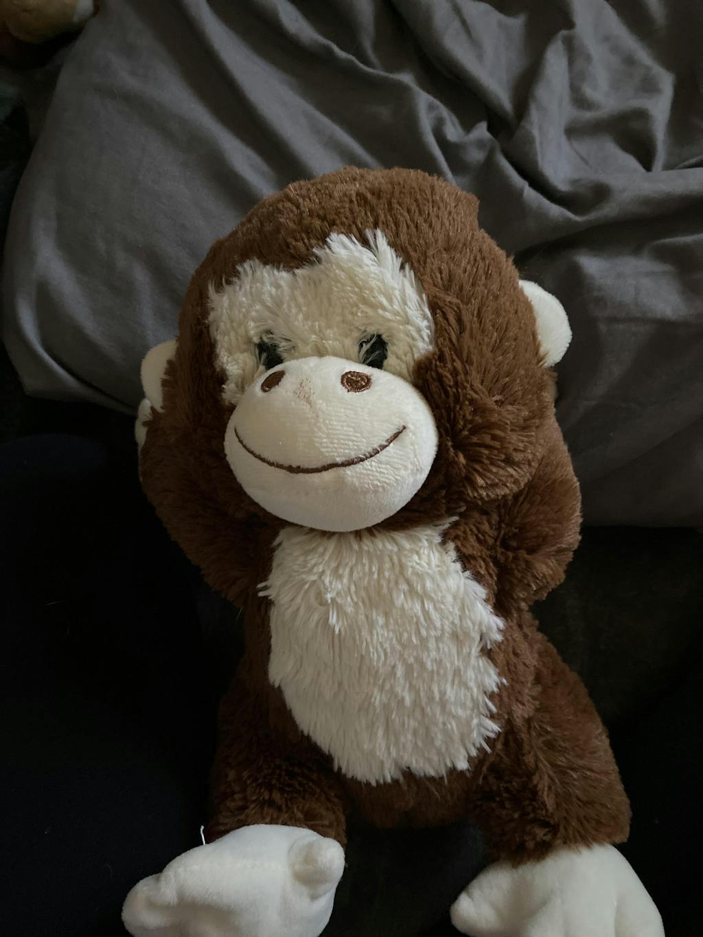 Maria the Monkey Stuffed Animal Care Package - SendAFriend
