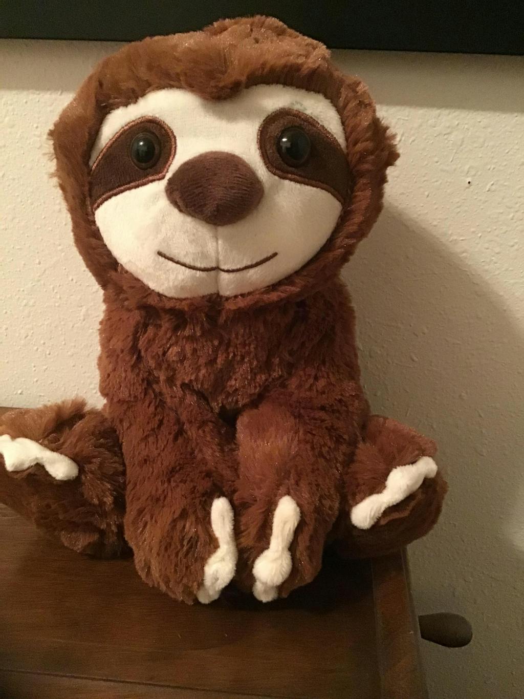 Sam the Sloth Stuffed Animal Care Package | SendAFriend