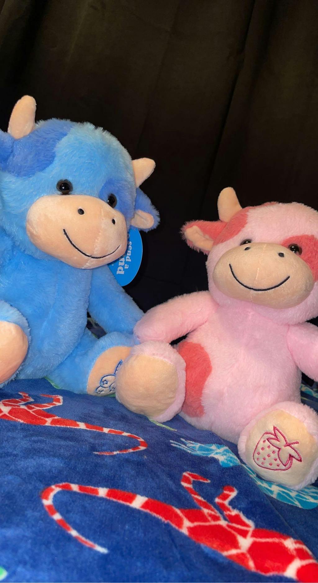 Beau the Blueberry Cow | SendAFriend's Stuffed Animal Care Packages
