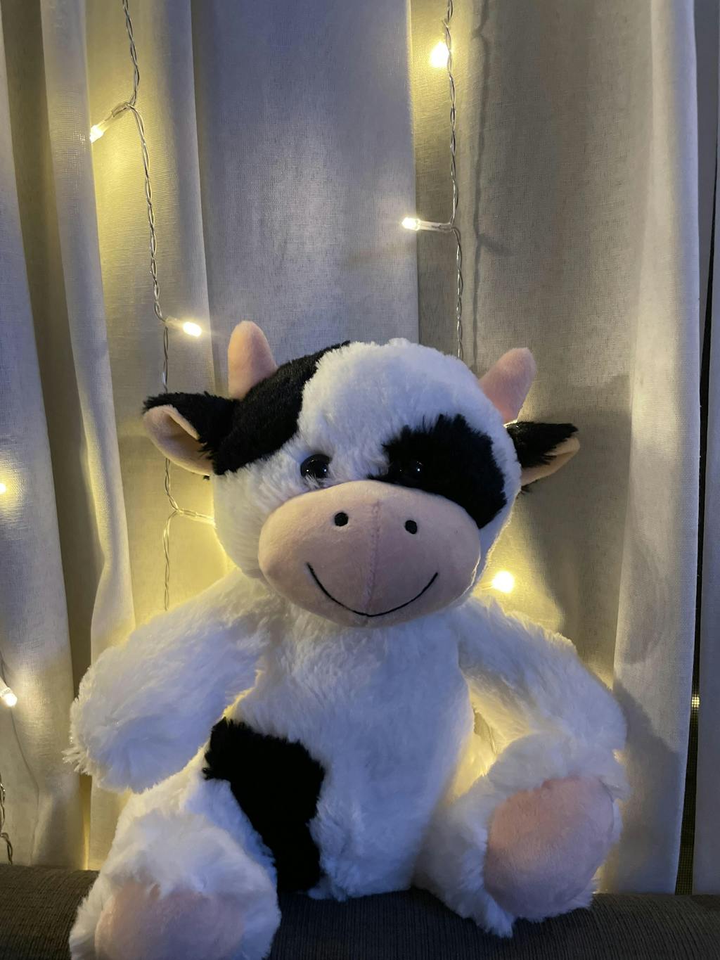 Cooper the Cow | SendAFriend's Stuffed Animal Care Packages