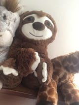 Sam the Sloth Stuffed Animal Care Package | SendAFriend