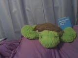 Tucker the Turtle | SendAFriend's Stuffed Animal Care Packages