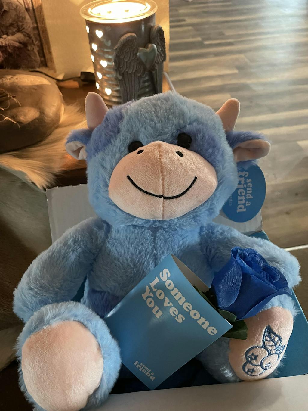 Beau the Blueberry Cow | SendAFriend's Stuffed Animal Care Packages