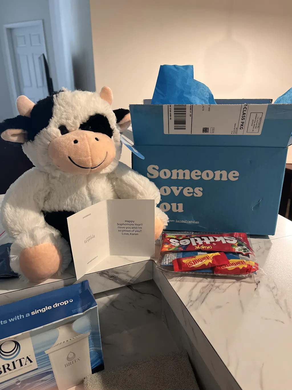 Cooper the Cow | SendAFriend's Stuffed Animal Care Packages