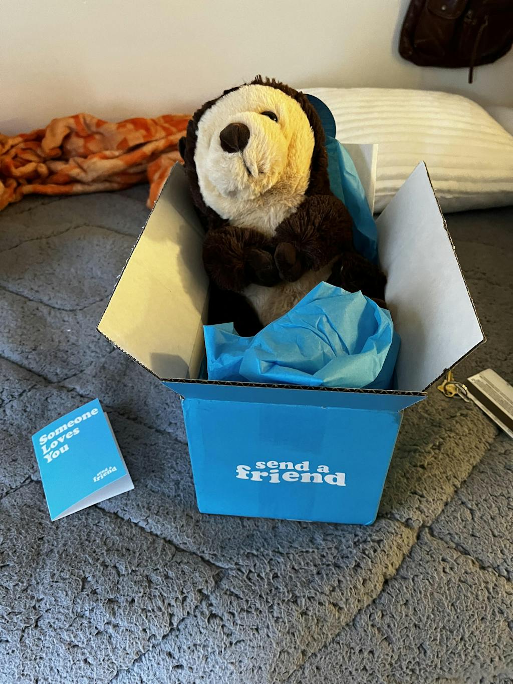 Oliver the Otter Stuffed Animal Care Package | SendAFriend