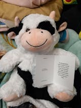 Cooper the Cow | SendAFriend's Stuffed Animal Care Packages