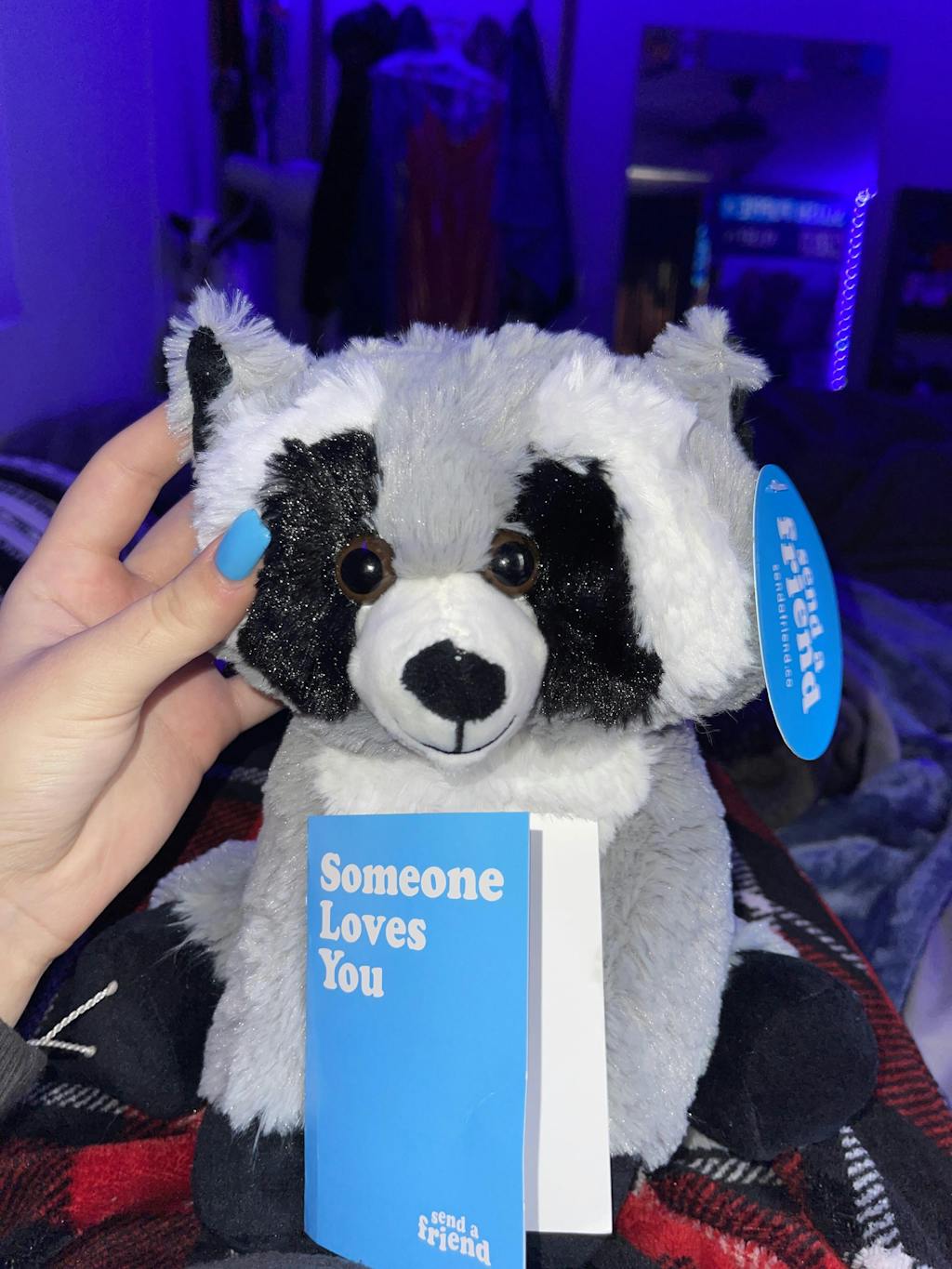 Rosie the Raccoon Stuffed Animal Care Package - SendAFriend