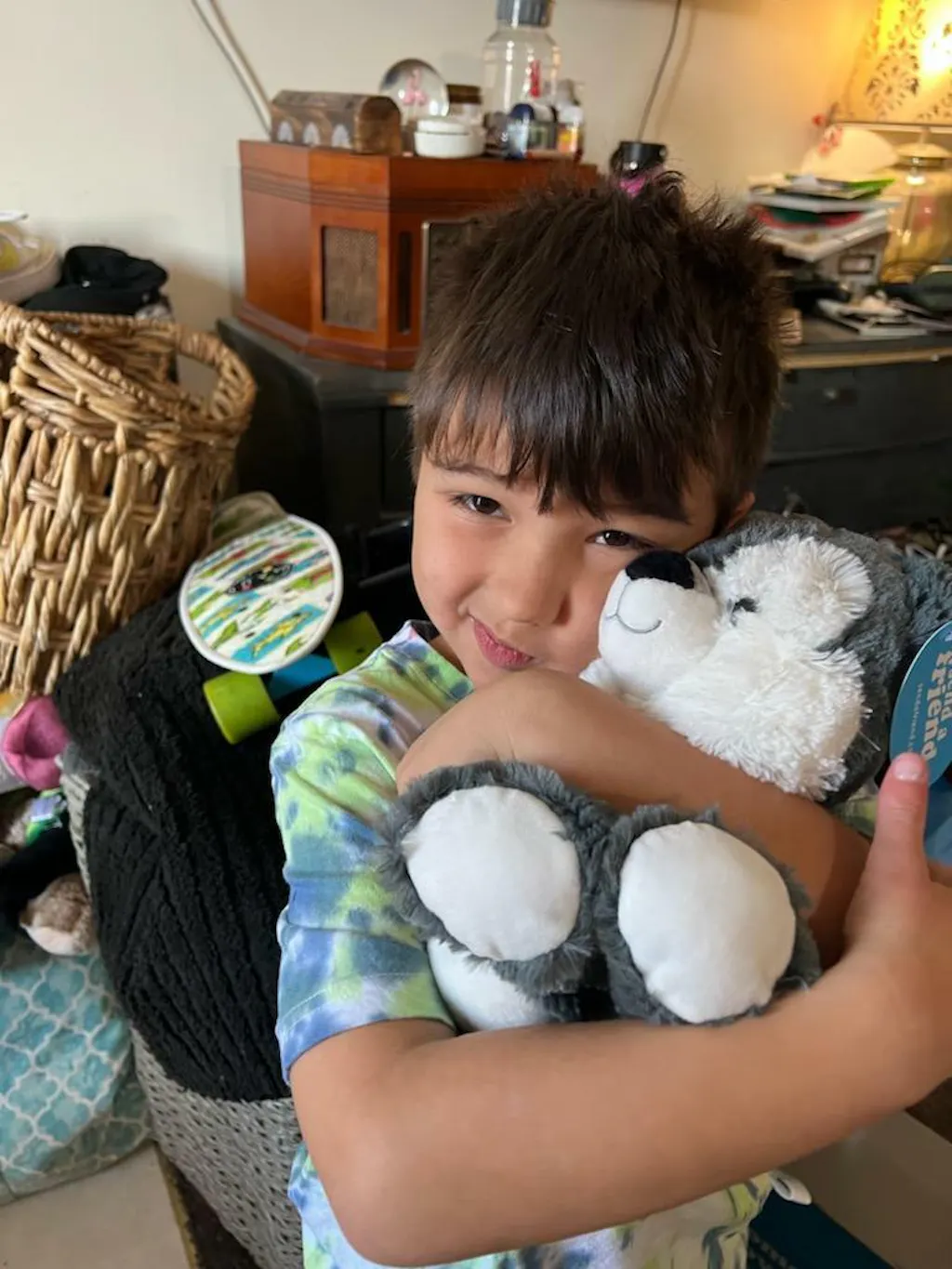 Winston the Wolf Stuffed Animal Care Package - SendAFriend
