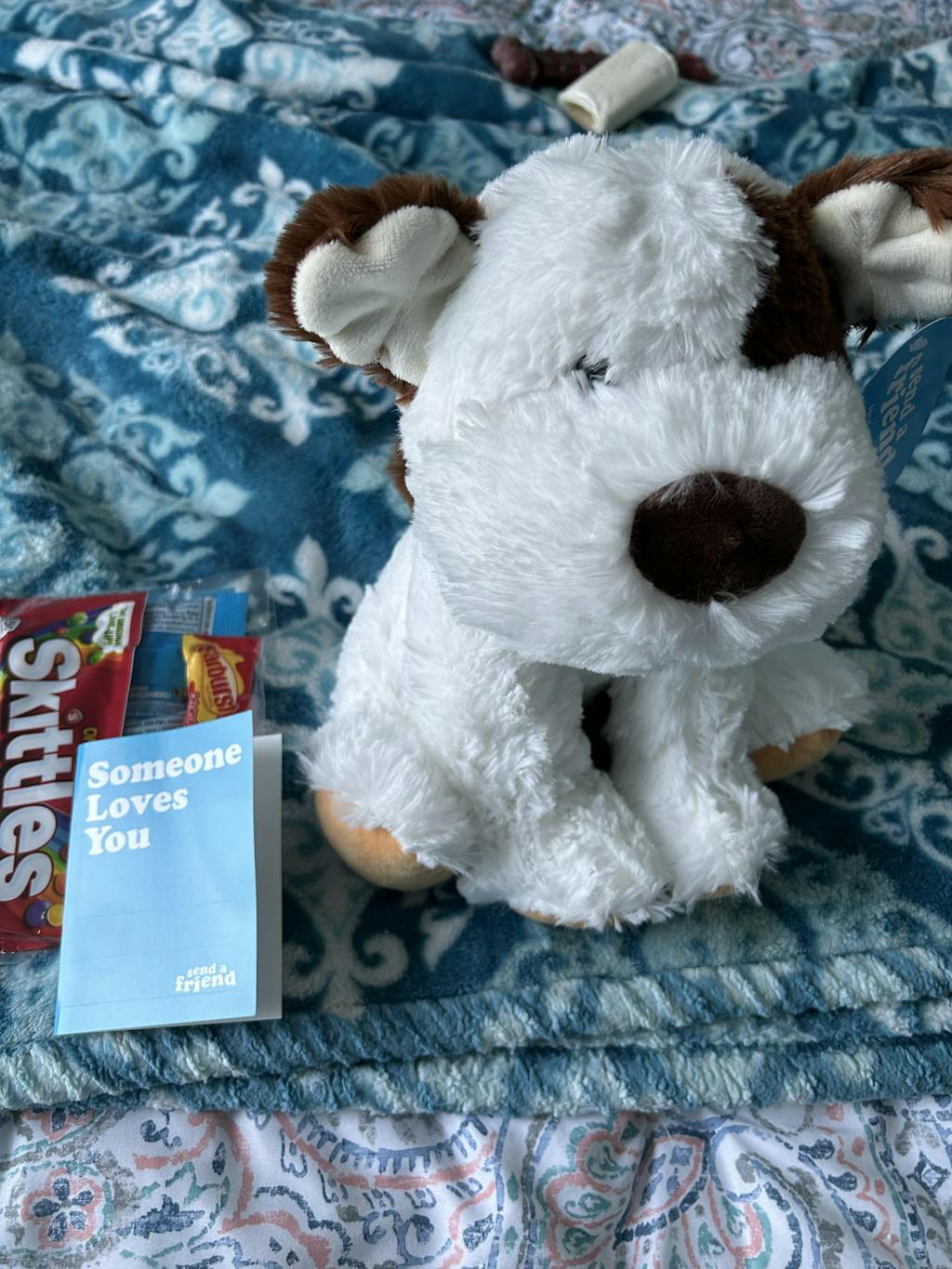 Peanut the Puppy Stuffed Animal Care Package - SendAFriend