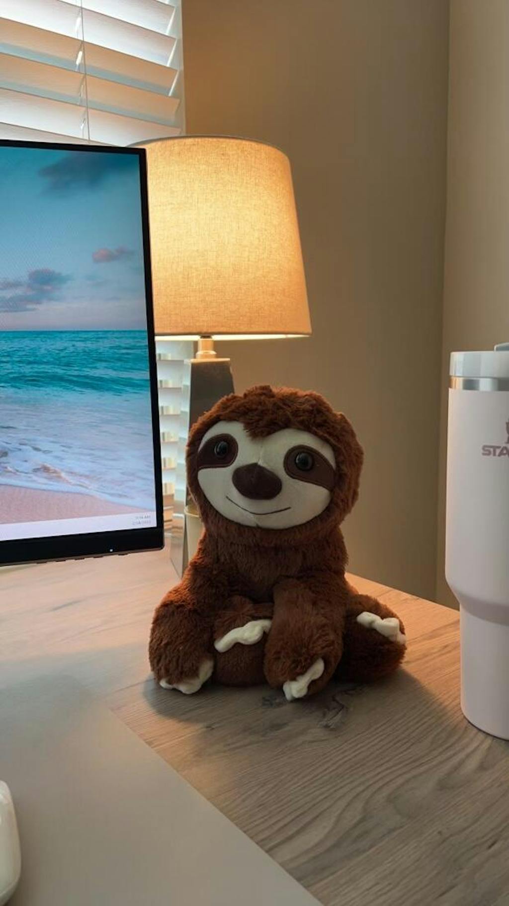 Sam the Sloth Stuffed Animal Care Package | SendAFriend