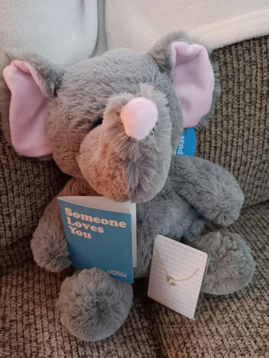 Eli the Elephant Stuffed Animal Care Package - SendAFriend