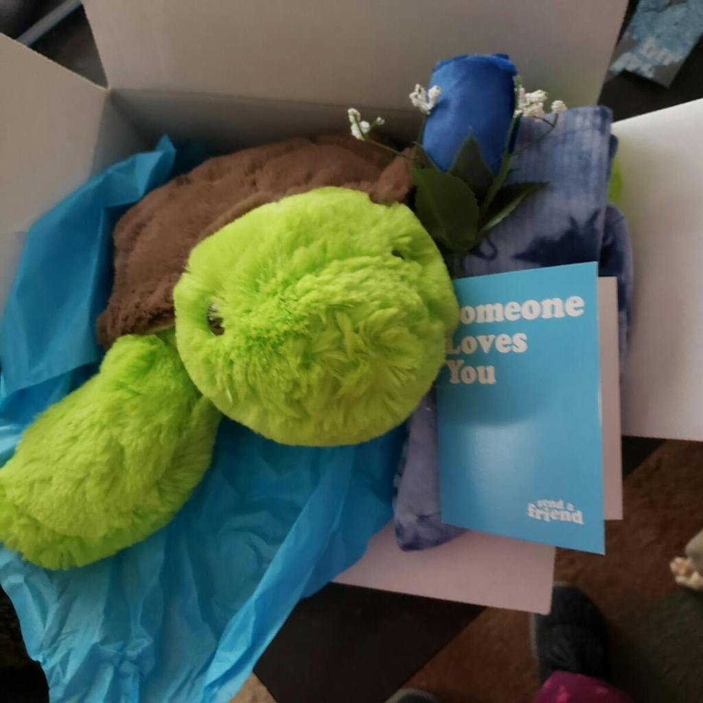 Tucker the Turtle Stuffed Animal Care Package - SendAFriend