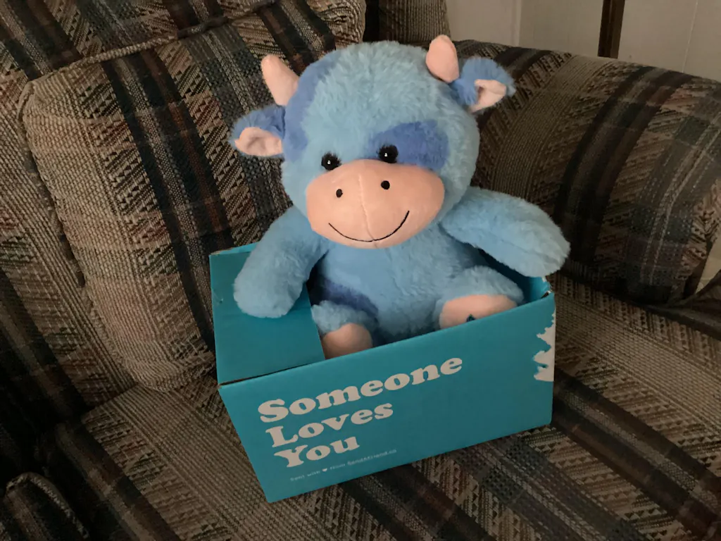 Beau the Blueberry Cow | SendAFriend's Stuffed Animal Care Packages