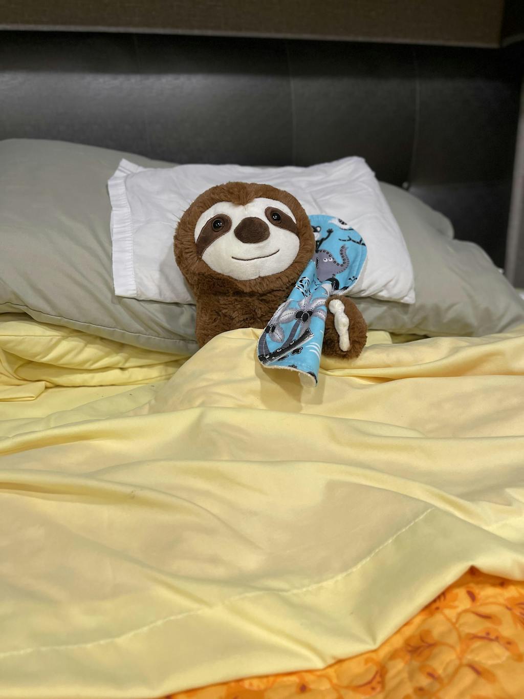 Sam the Sloth Stuffed Animal Care Package - SendAFriend